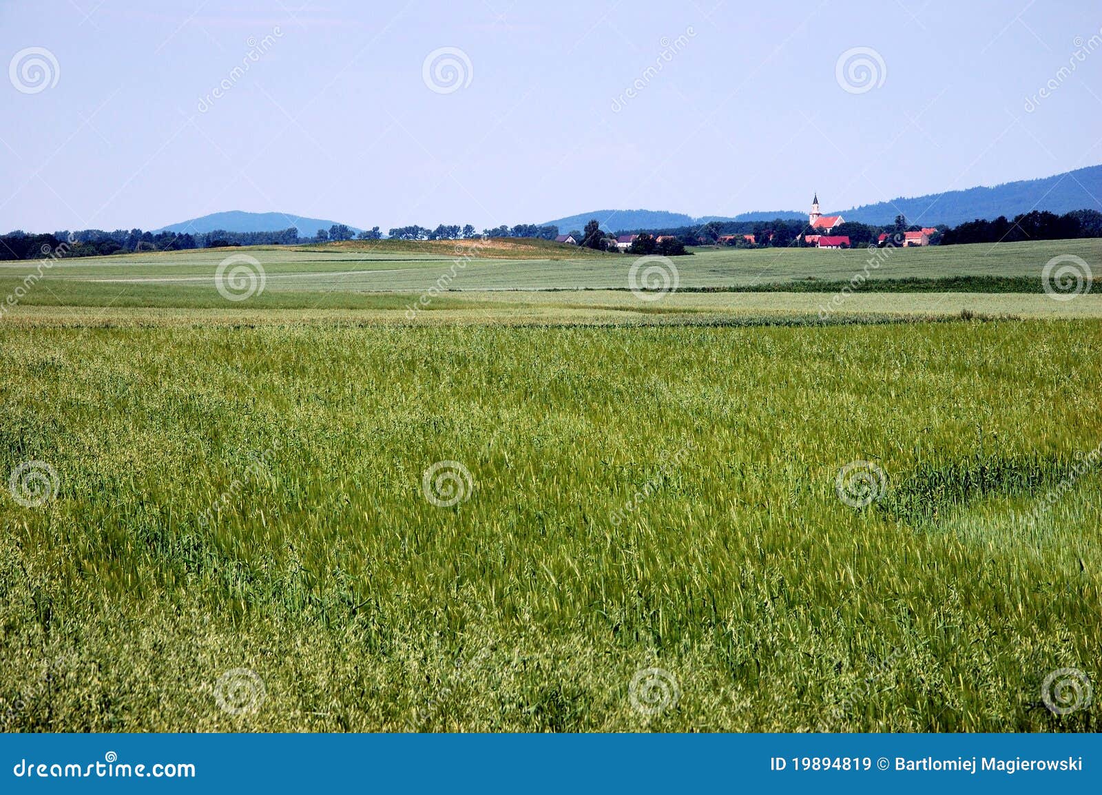 Grain fields in Poland stock image. Image of hills, lower - 19894819