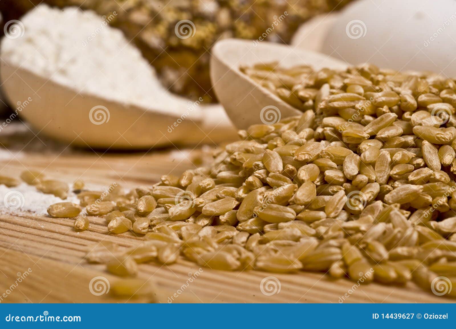 Grain and flour stock image. Image of cereal, grain, seed - 14439627