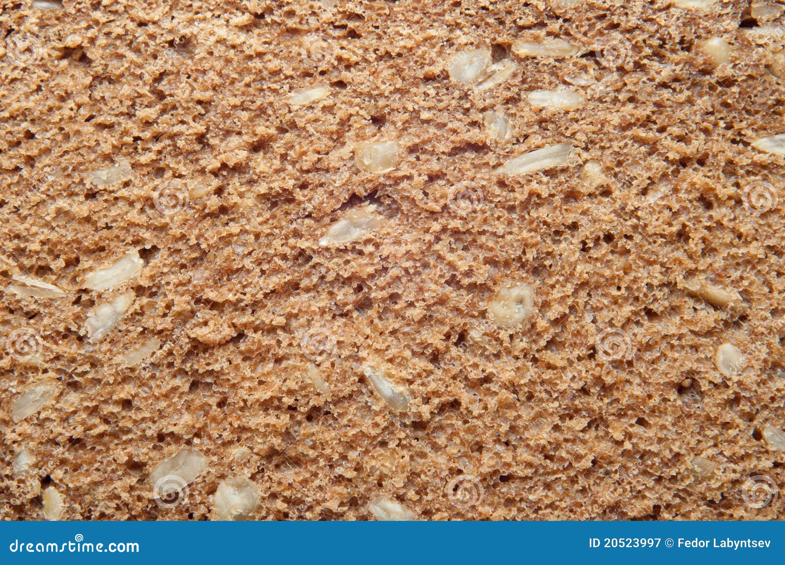 Grain-growing Bread in a Cut Stock Image - Image of food, cereal: 20523997