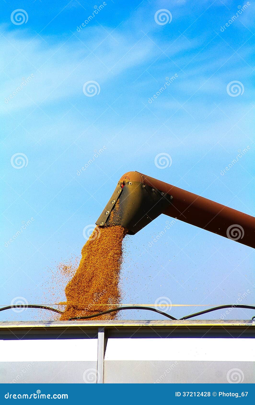 Grain Handling. Grain Auger Loading Wheat into Truck at Harvest Stock ...