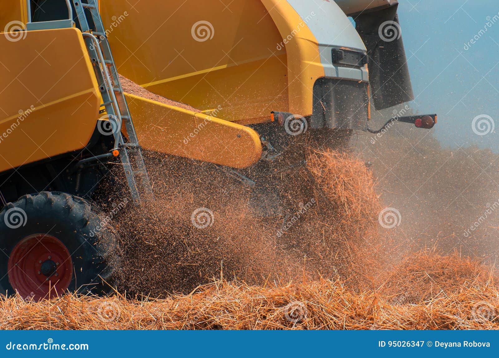 Grain Harvesting Harvester Machines Working In Field. Agriculture ...
