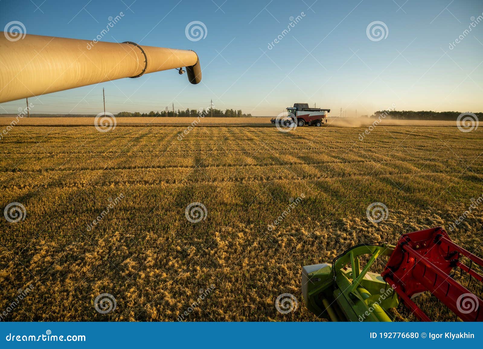 Grain Harvesting Harvester Machines Working In Field. Agriculture ...
