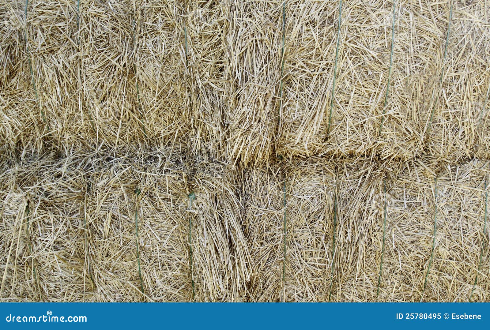 Grain, hay stock image. Image of farming, isolated, cattle - 25780495