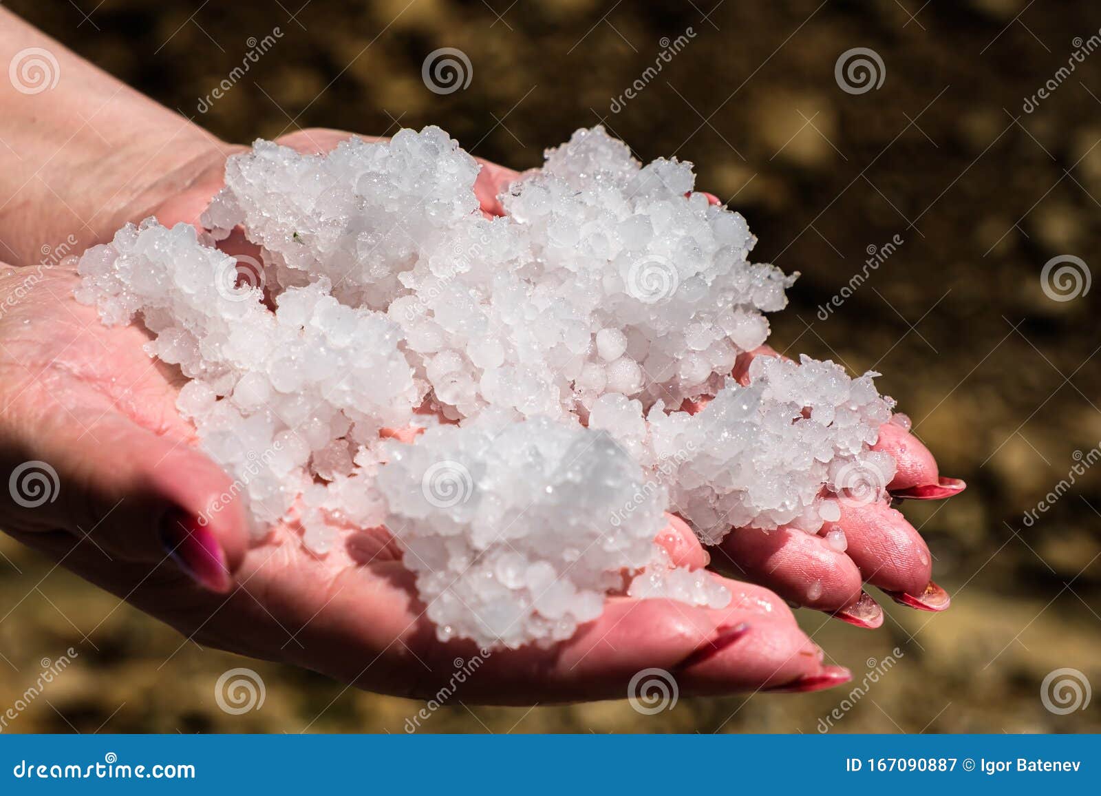 Grain Ice Hail on the Palm. Stock Image - Image of frozen, catastrophe ...