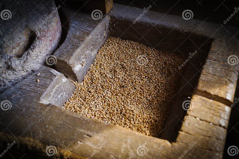 Grain in a mill stock photo. Image of windmill, mill - 256354310