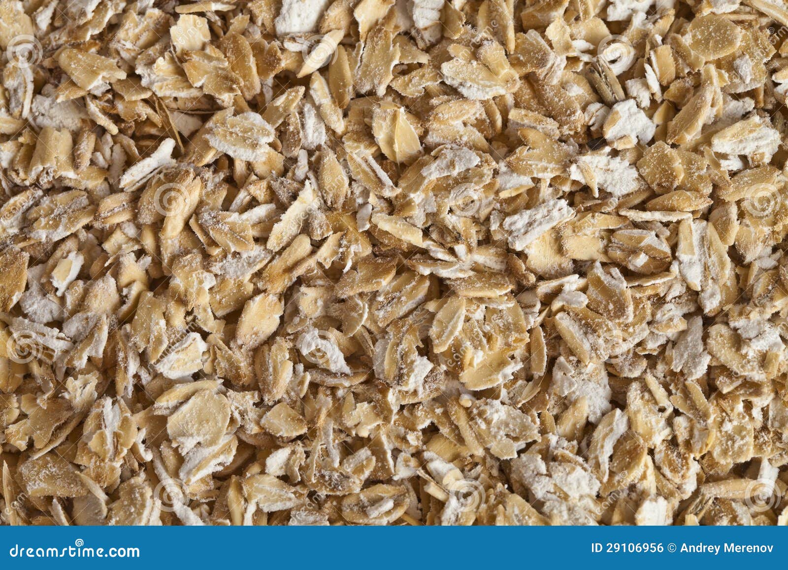 Grain oats stock photo. Image of preparation, closeup - 29106956