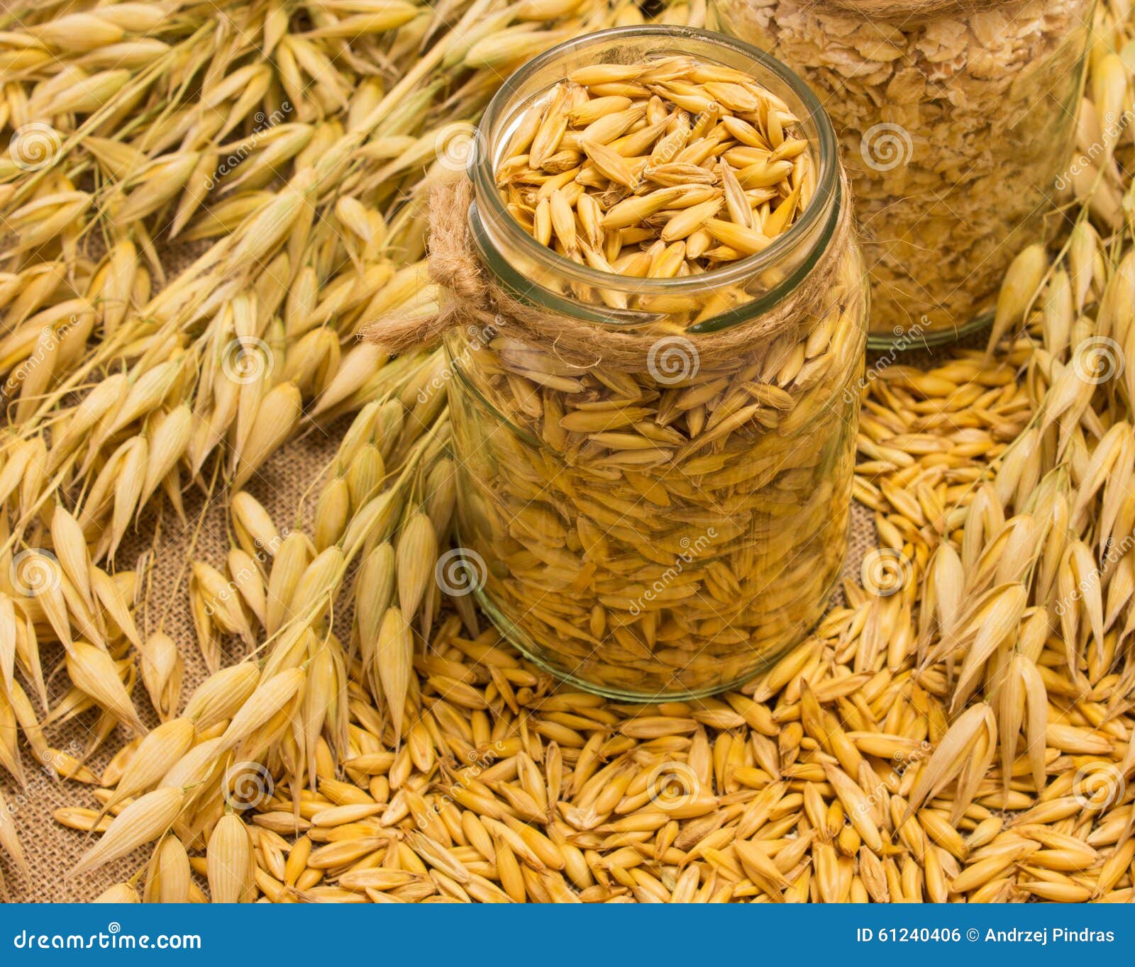 Grain Oats and Oatmeal on Canvas Stock Photo - Image of grain ...