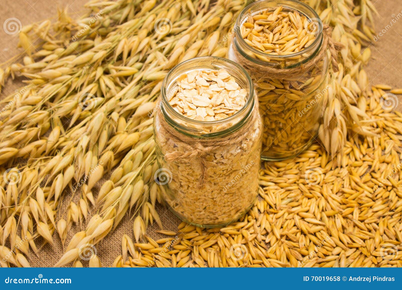 Grain Oats and Oatmeal on Canvas Stock Photo - Image of health ...