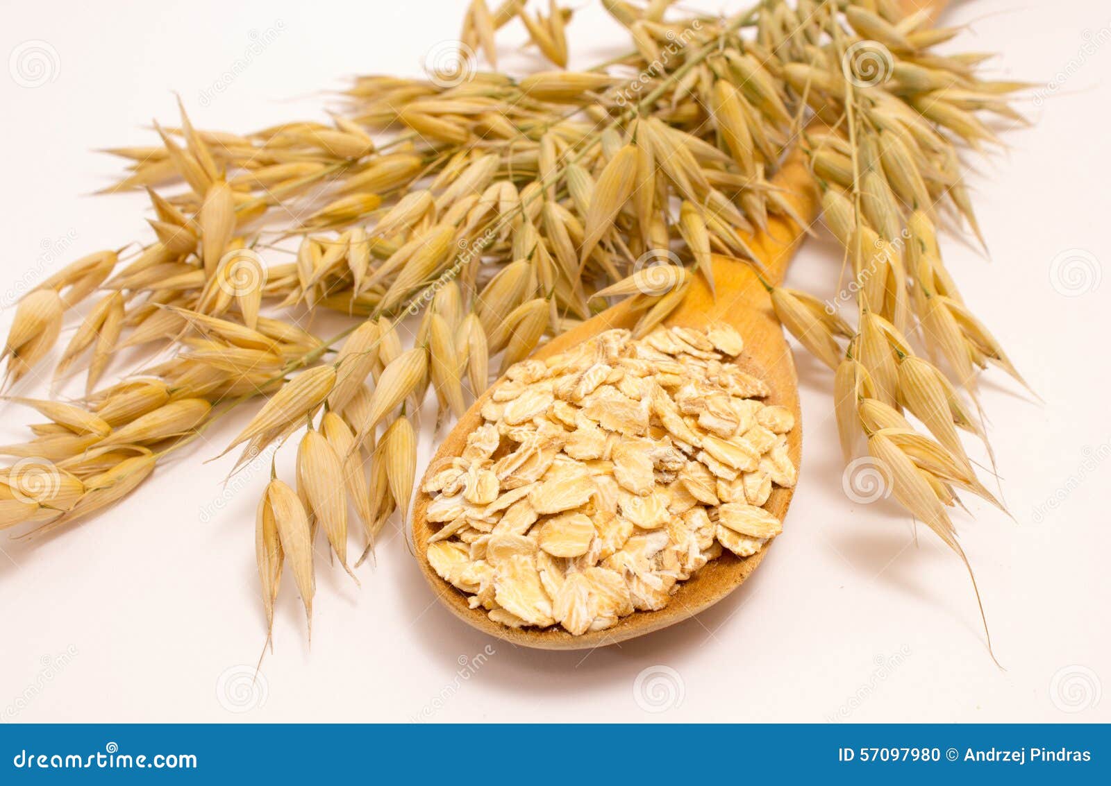 Grain oats and oatmeal stock photo. Image of nutrition - 57097980