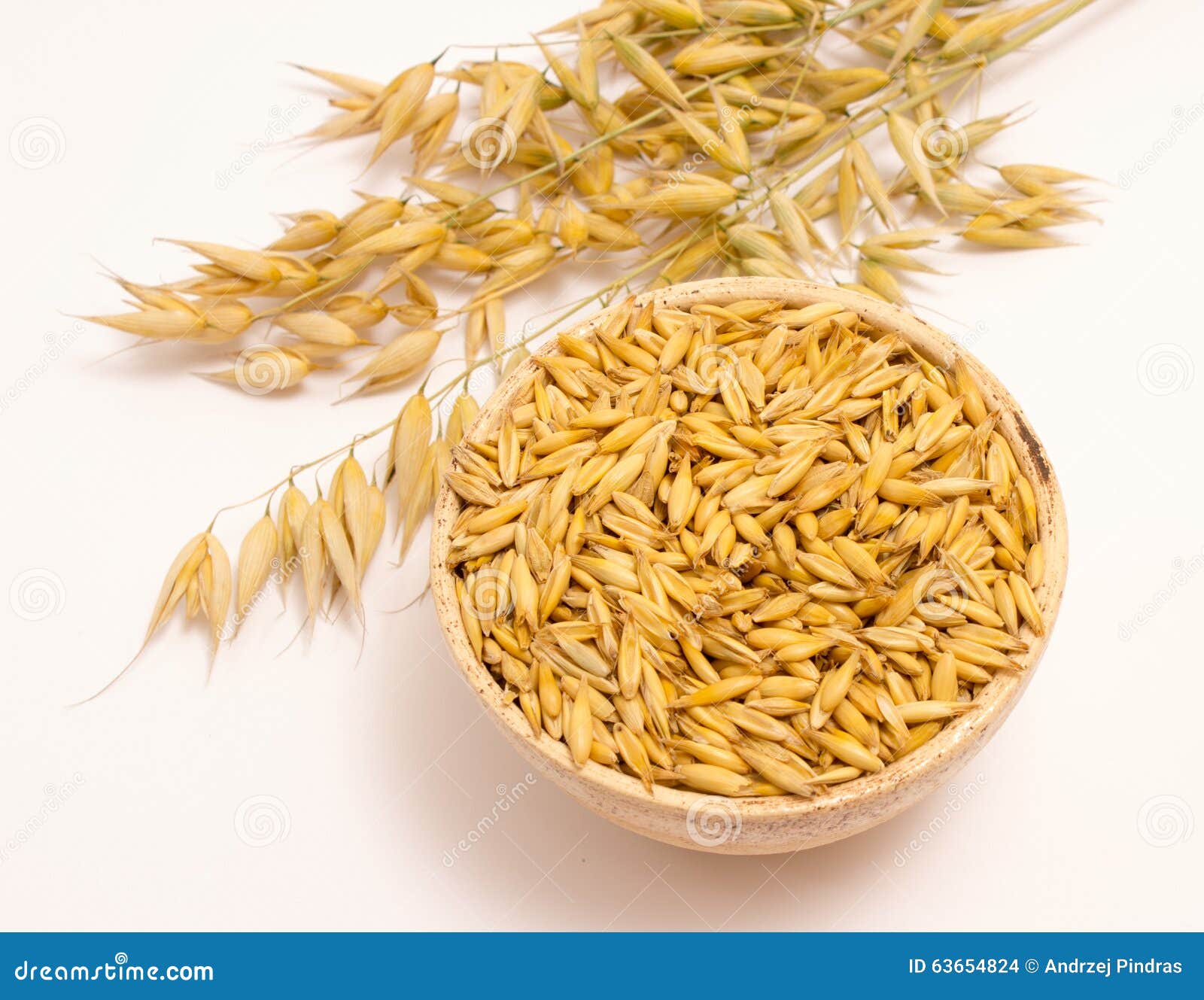 Grain oats and oatmeal stock photo. Image of closeup - 63654824