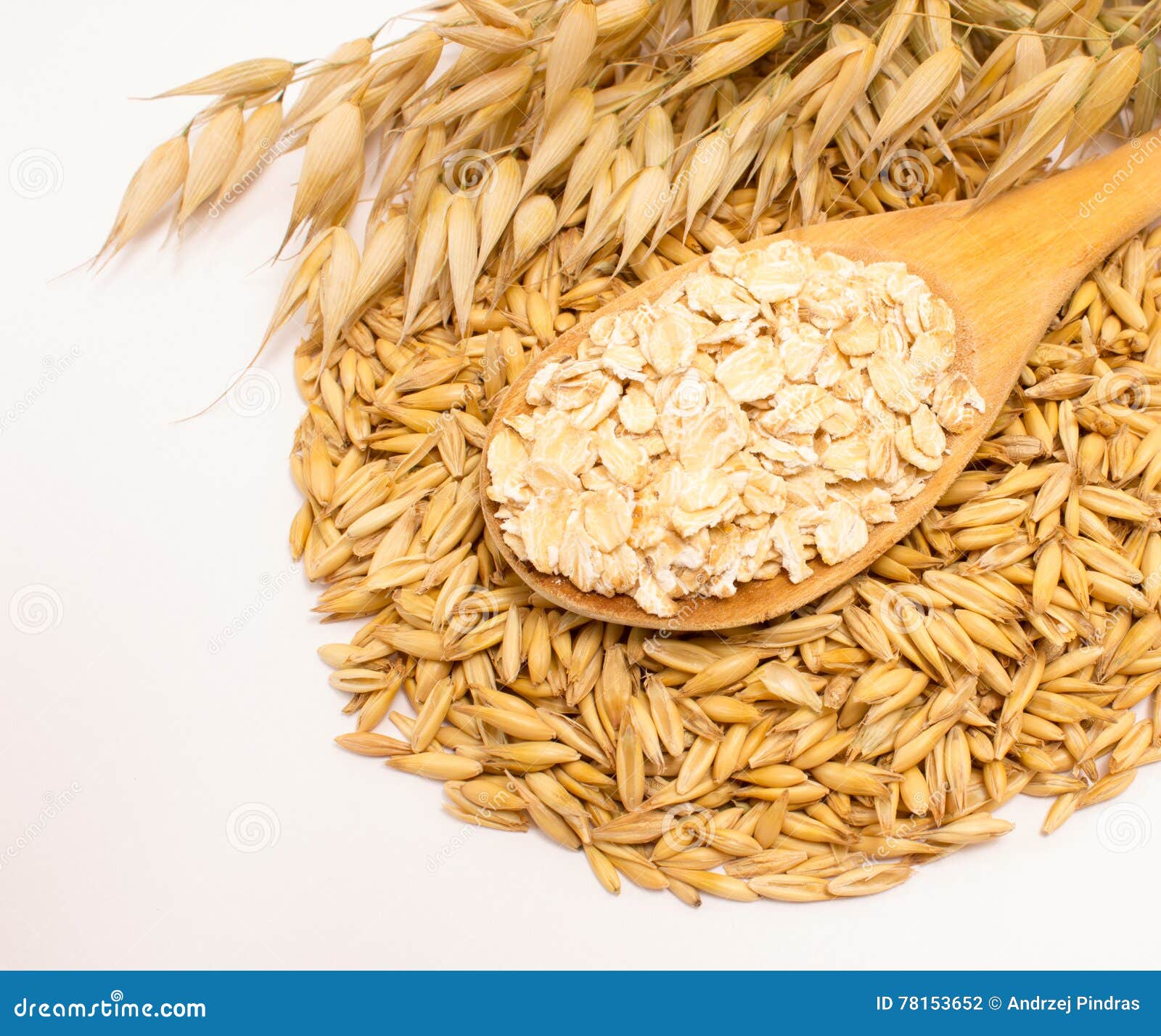 Grain oats and oatmeal stock photo. Image of isolated - 78153652