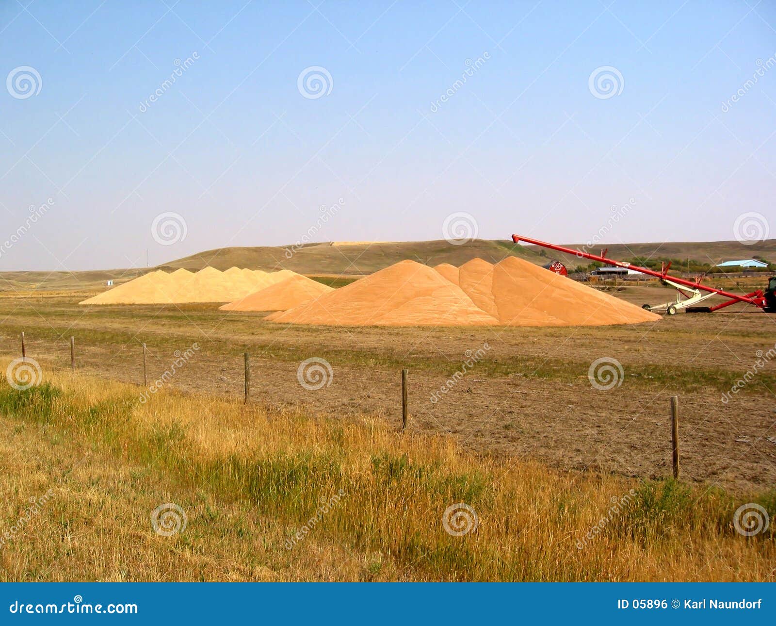 Grain Piles Royalty-Free Stock Image | CartoonDealer.com #5896