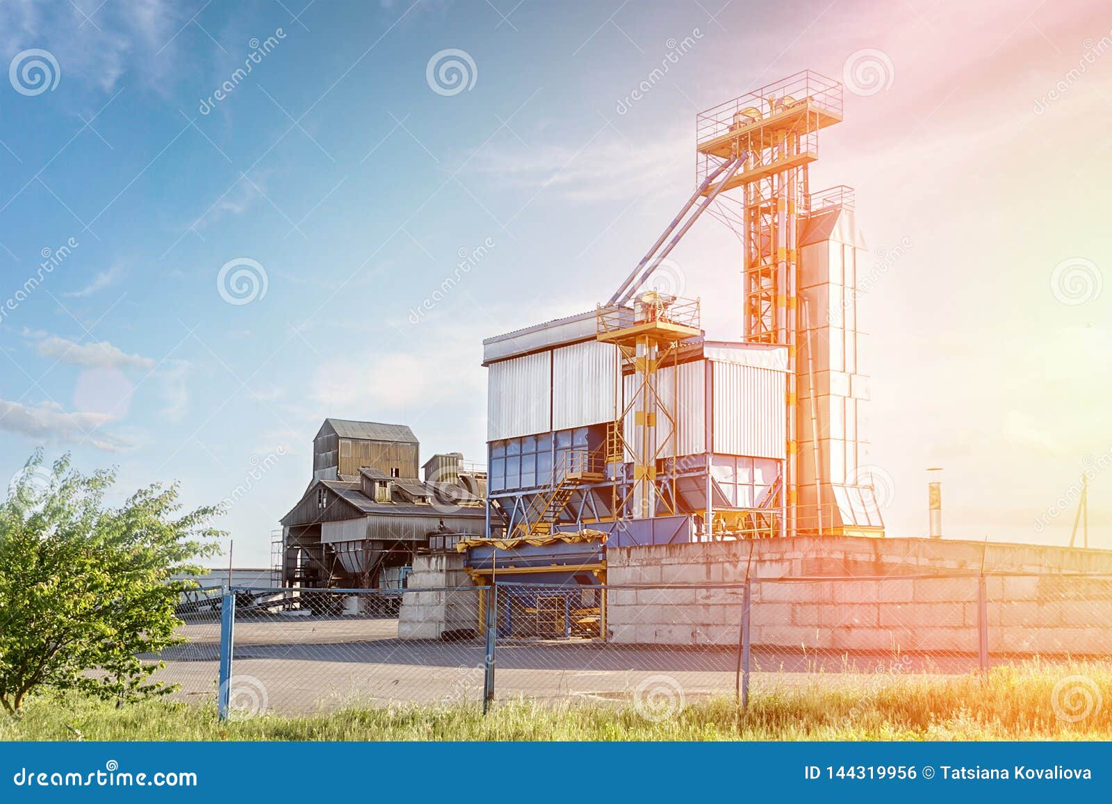 Grain Processing Complex Intended for Coarse Purification, Drying Up ...