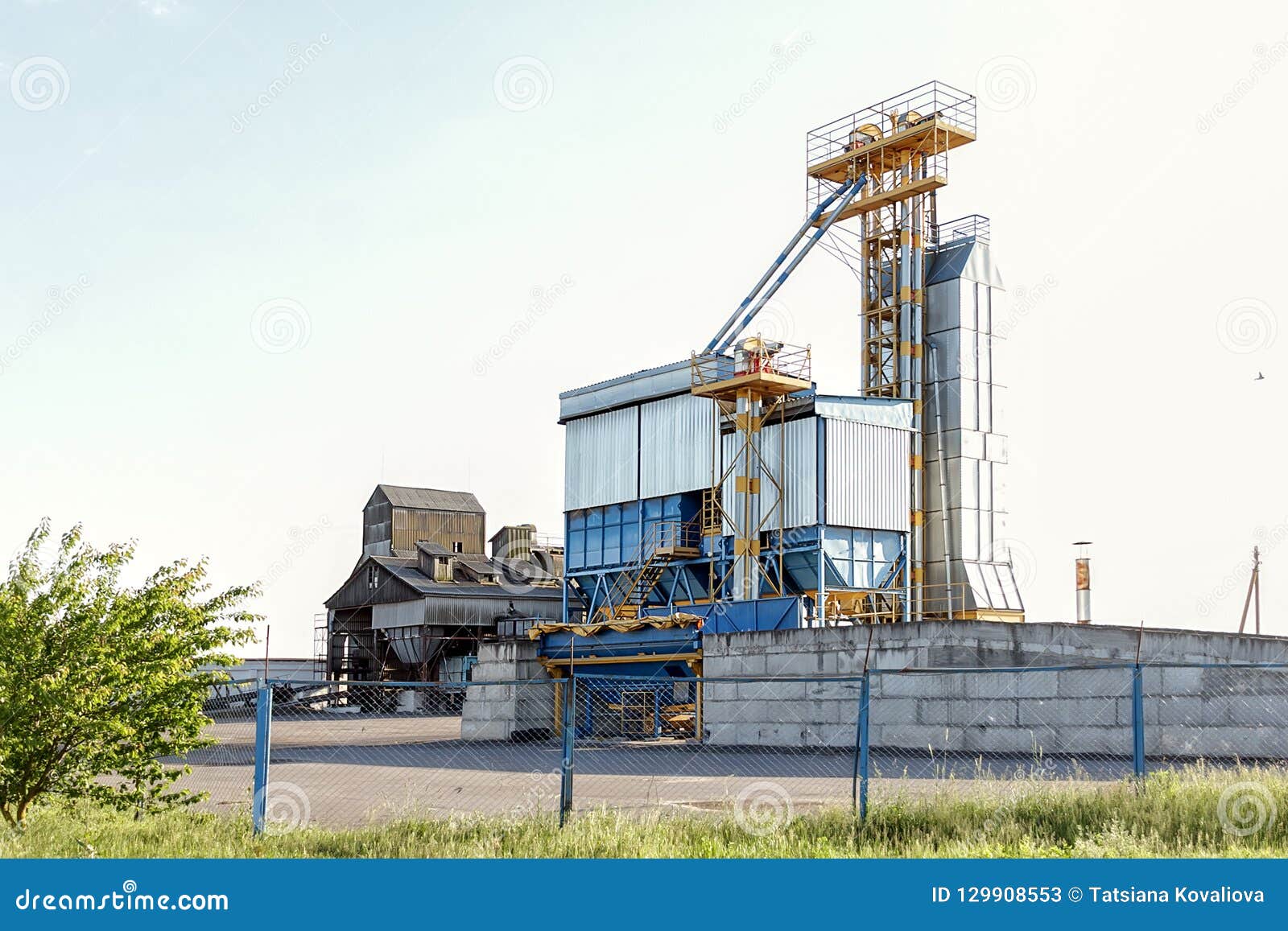 Grain Processing Complex Intended for Coarse Purification, Drying Up ...