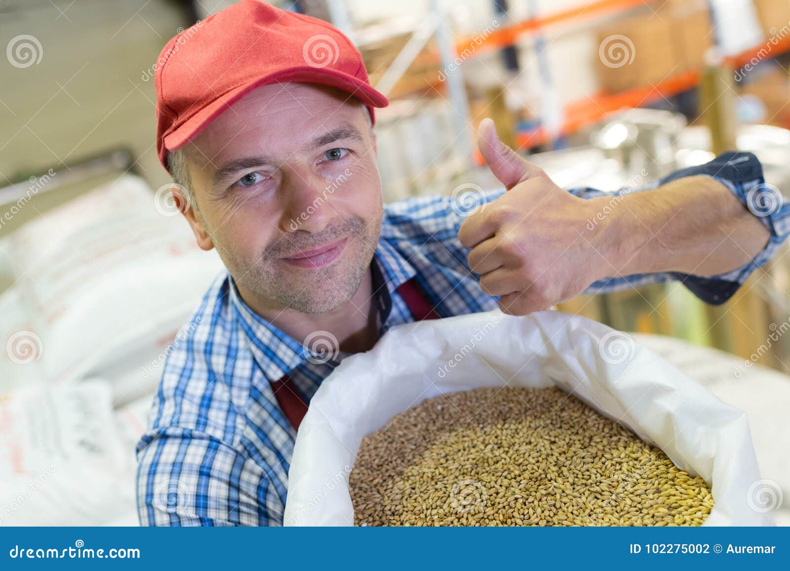 Grain Quality Inspector Showing Thumbs Up Stock Photo - Image of seed ...