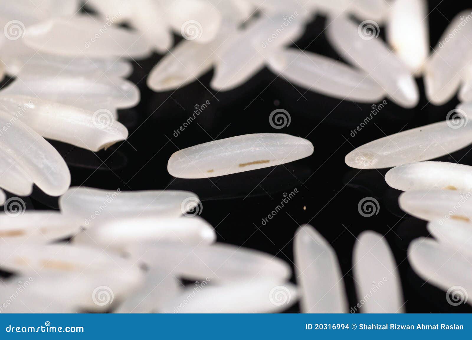 Grain of rice stock photo. Image of abstract, natural - 20316994