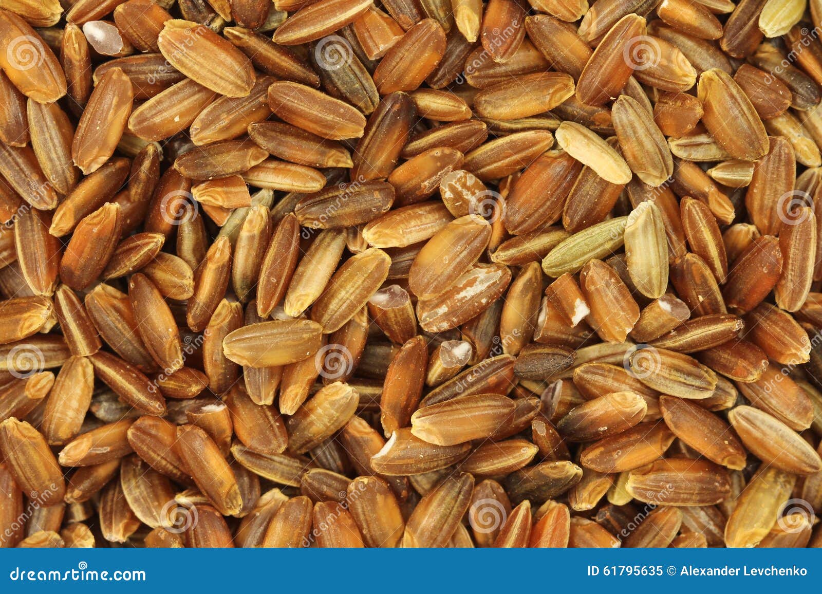 Rice Bran Shell Photos - Free & Royalty-Free Stock Photos from Dreamstime