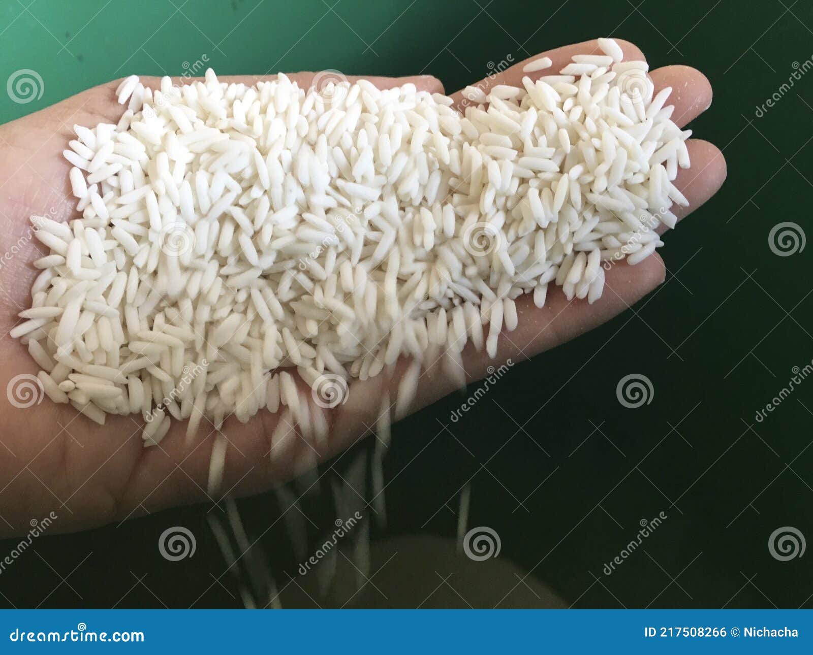The grain of rice in hand stock photo. Image of details - 217508266