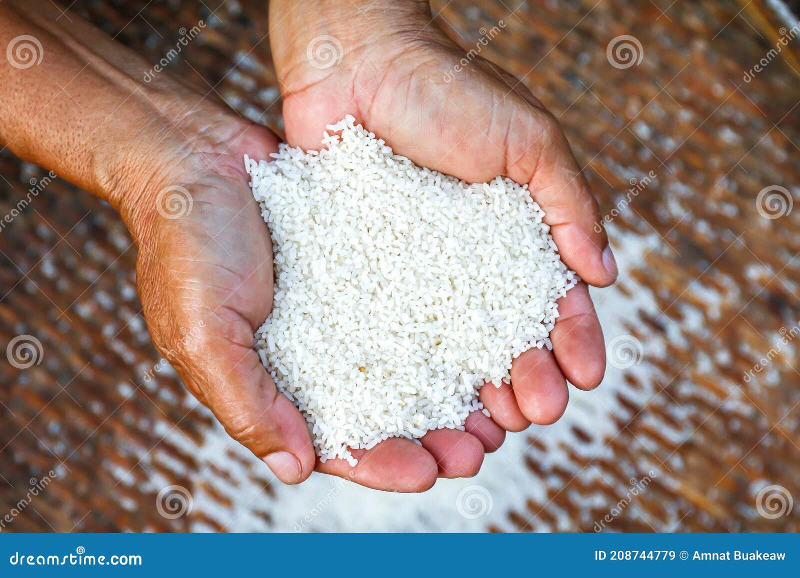 Grain of Rice in the Hands Farmer Rice White Grain in Handful Organic ...
