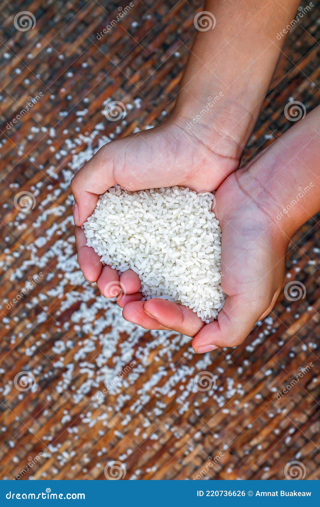 Grain of Rice in the Hands Farmer, Rice White Grain in Handful, Organic ...