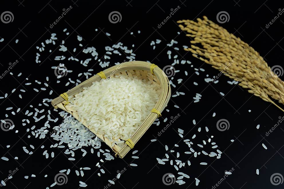 Grain Rice with a Plate on the Black Background Stock Image - Image of ...
