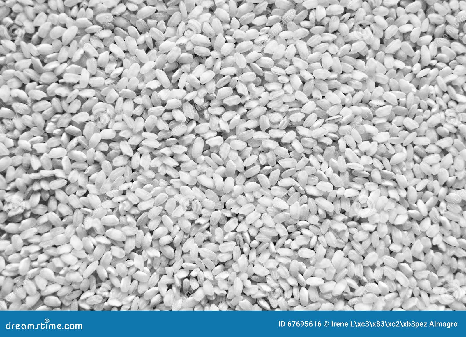 Grain Rice Texture or Background Stock Photo - Image of pile ...