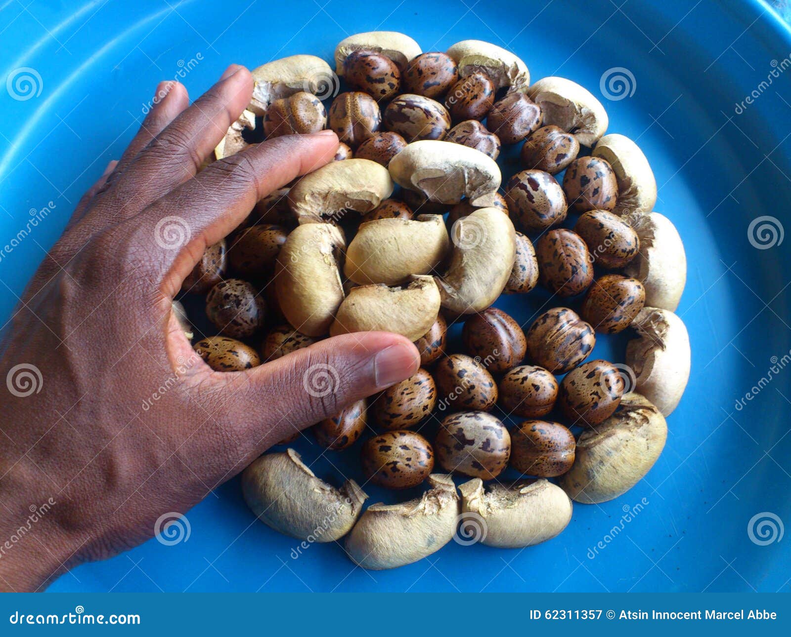 GRAIN of RUBBER in a PLATE stock image. Image of opportunity - 62311357
