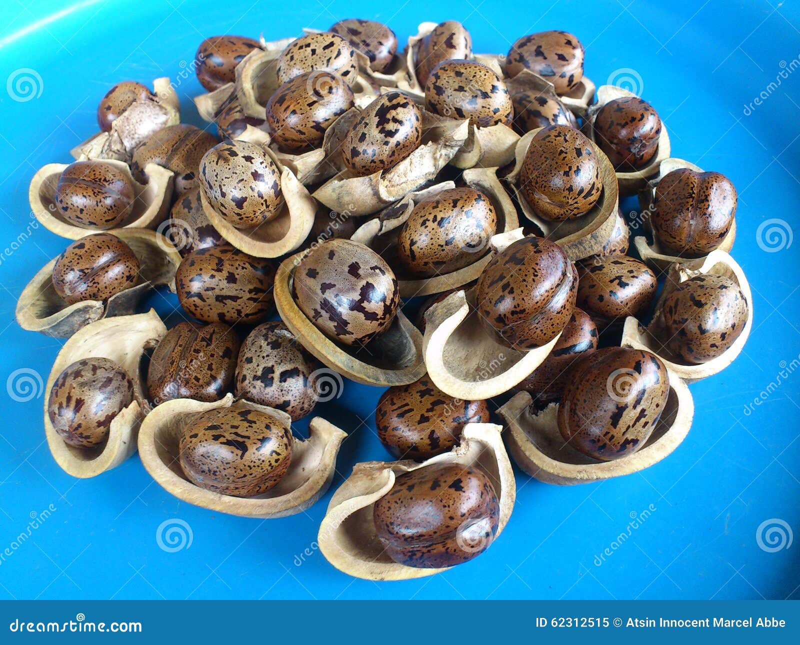 GRAIN of RUBBER in a PLATE stock image. Image of holds - 62312515