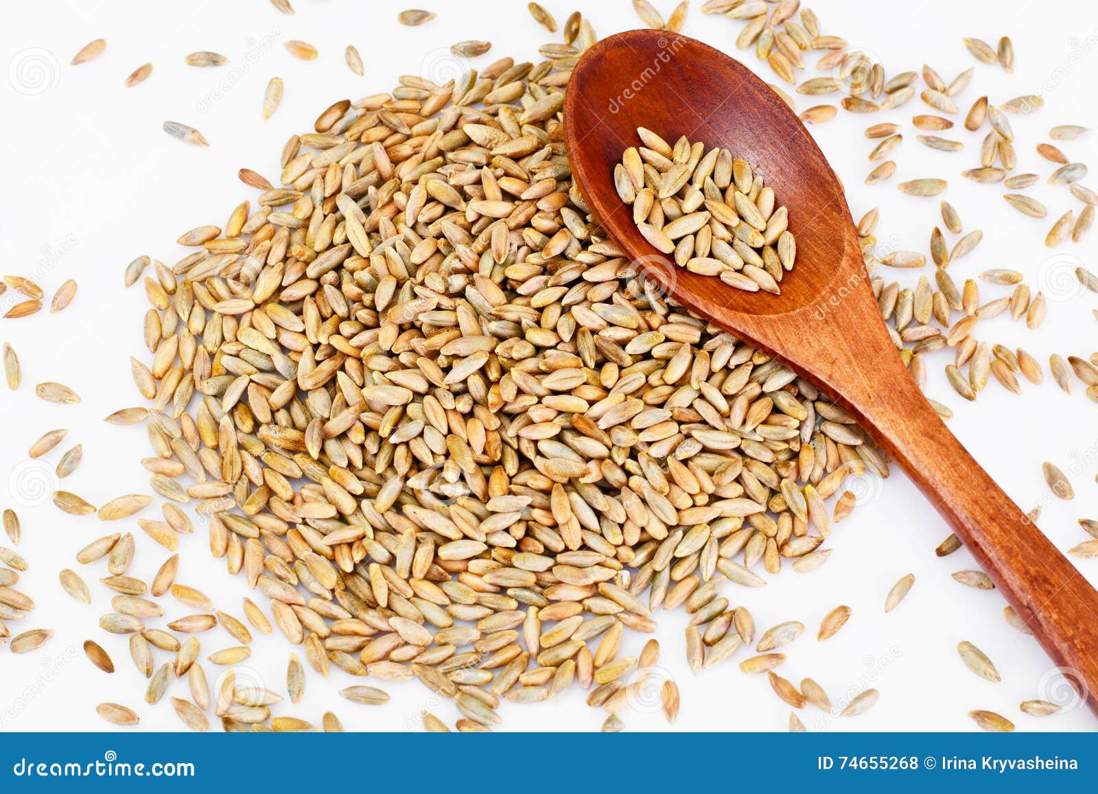 Grain Rye and Wheat stock photo. Image of group, barley - 74655268