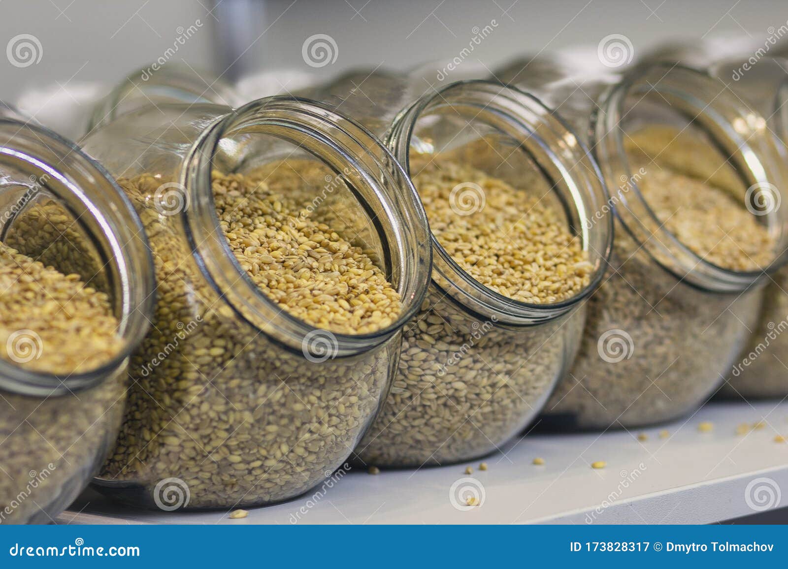 Grain Samples in Glass Jars Close-up Stock Image - Image of industrial ...