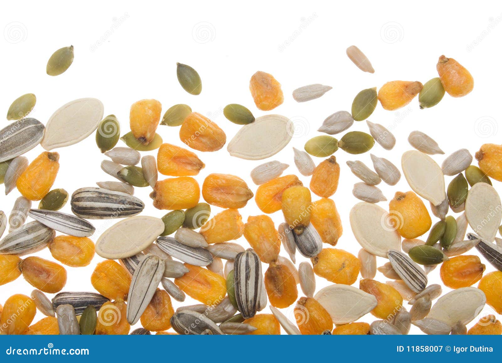 Grain and seeds stock image. Image of white, healthy - 11858007
