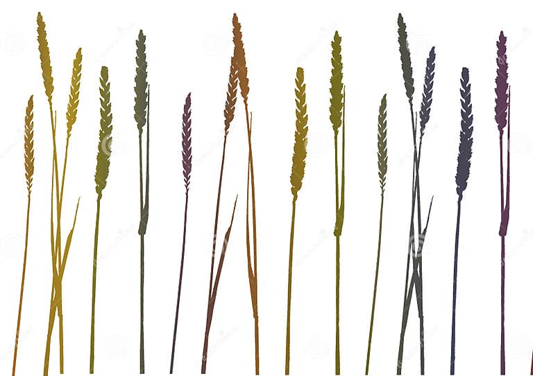 Grain silhouettes stock illustration. Illustration of nature - 6299993