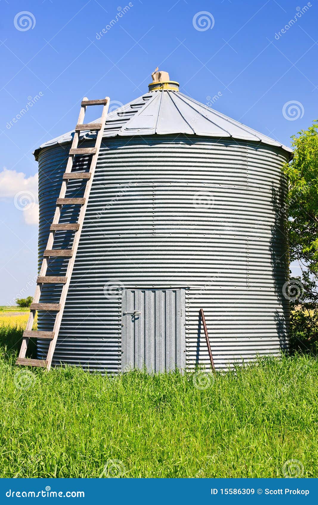 Grain Silo Stock Photography | CartoonDealer.com #25755200