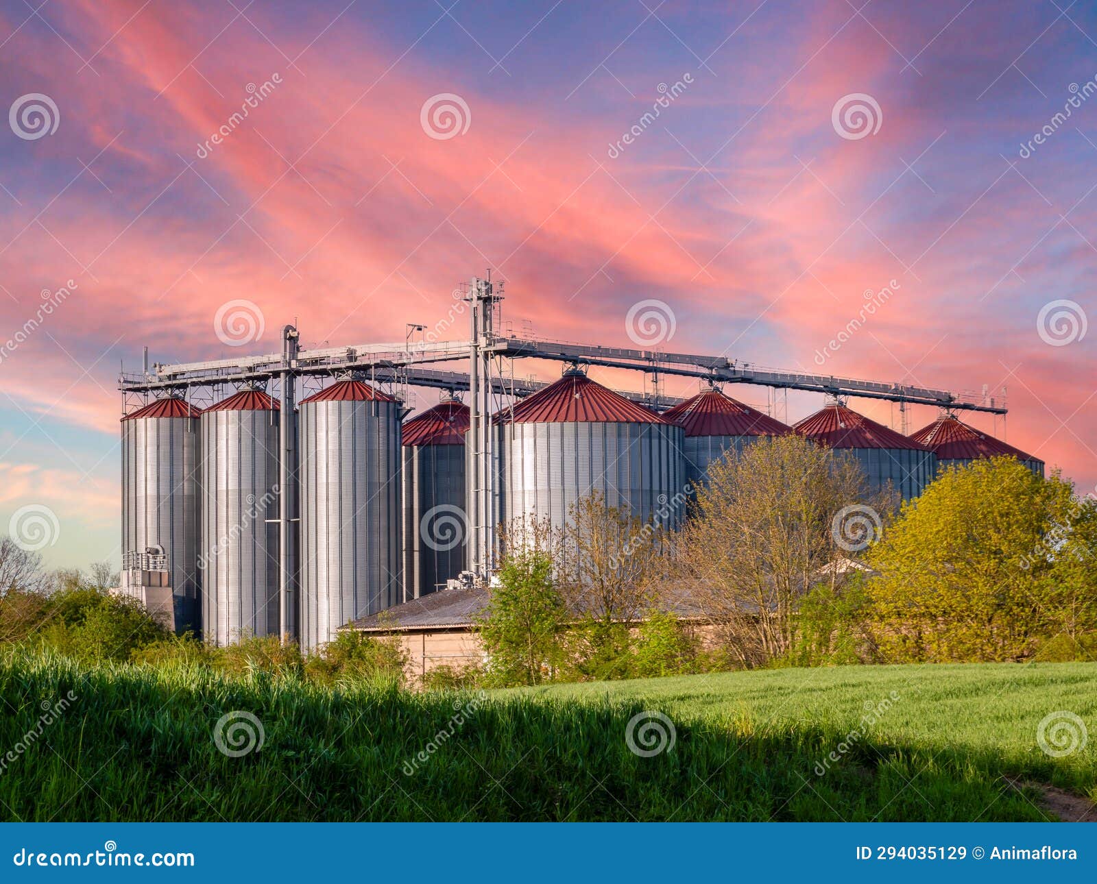 Grain Silo on a Farm with Sunset Stock Image - Image of environment ...