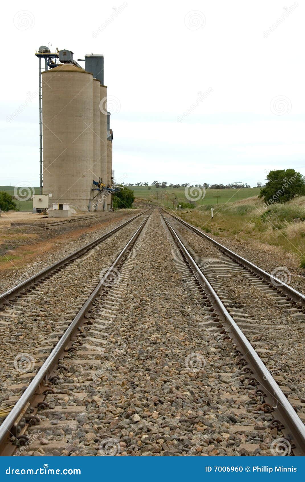 Grain Silos stock photo. Image of grain, silo, train, facility - 7006960