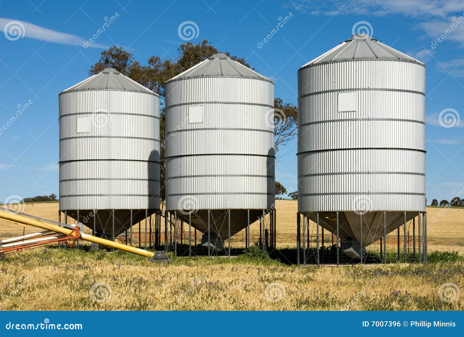 Grain From Silos Being Loaded Onto Cargo Ship On Stock Image ...