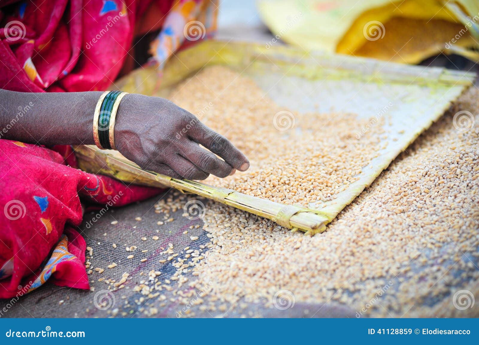 Grain sorting stock image. Image of yellow, sorting, indian - 41128859