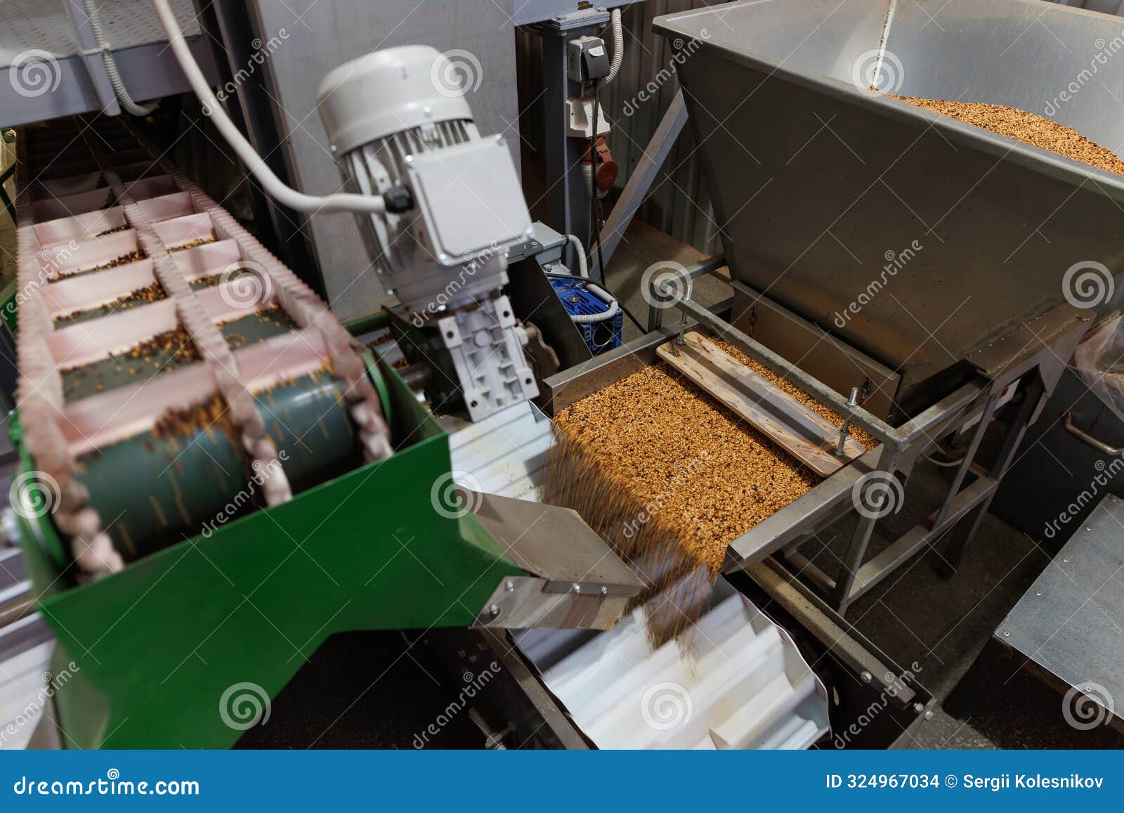 Grain Sorting Machine, Paddy Machine Sorts Grains of One Crop ...