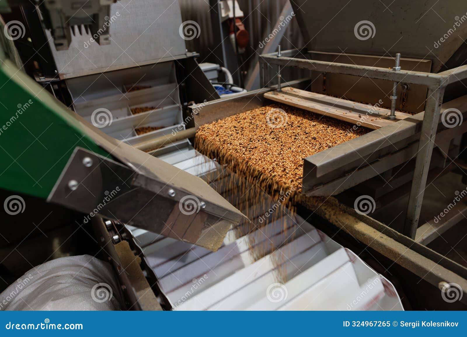 Grain Sorting Machine, Paddy Machine Sorts Grains of One Crop ...