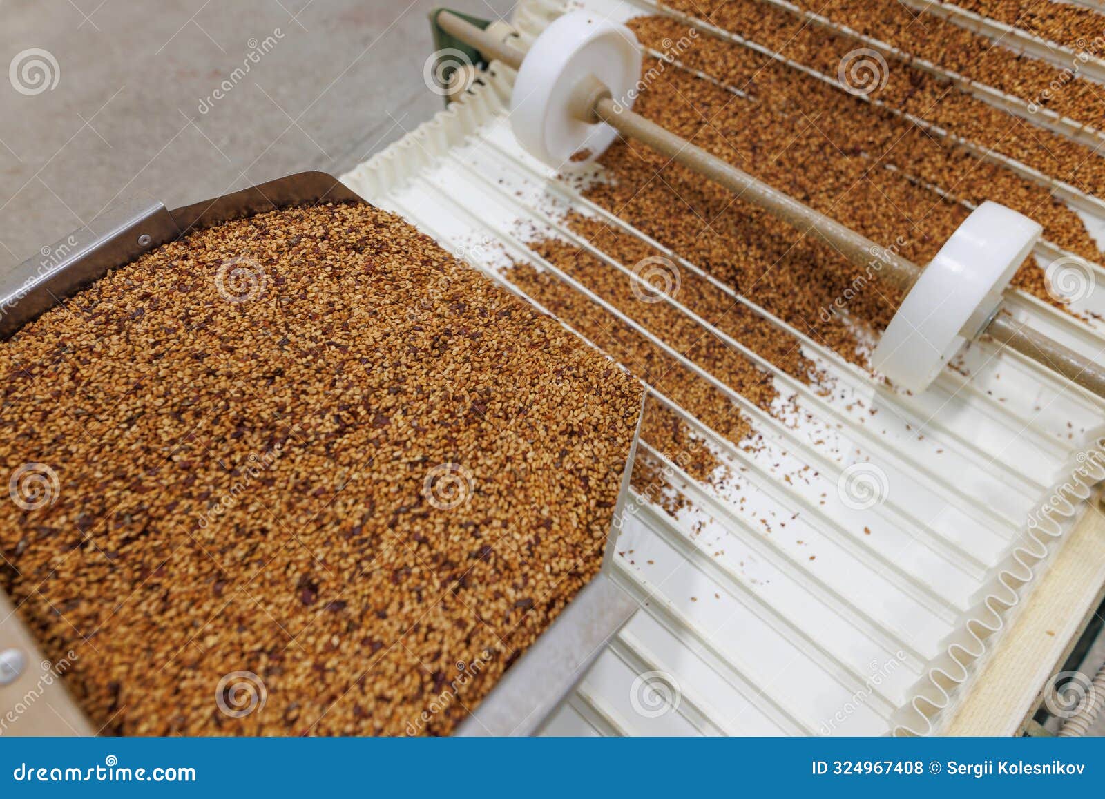 Grain Sorting Machine, Paddy Machine Sorts Grains of One Crop ...