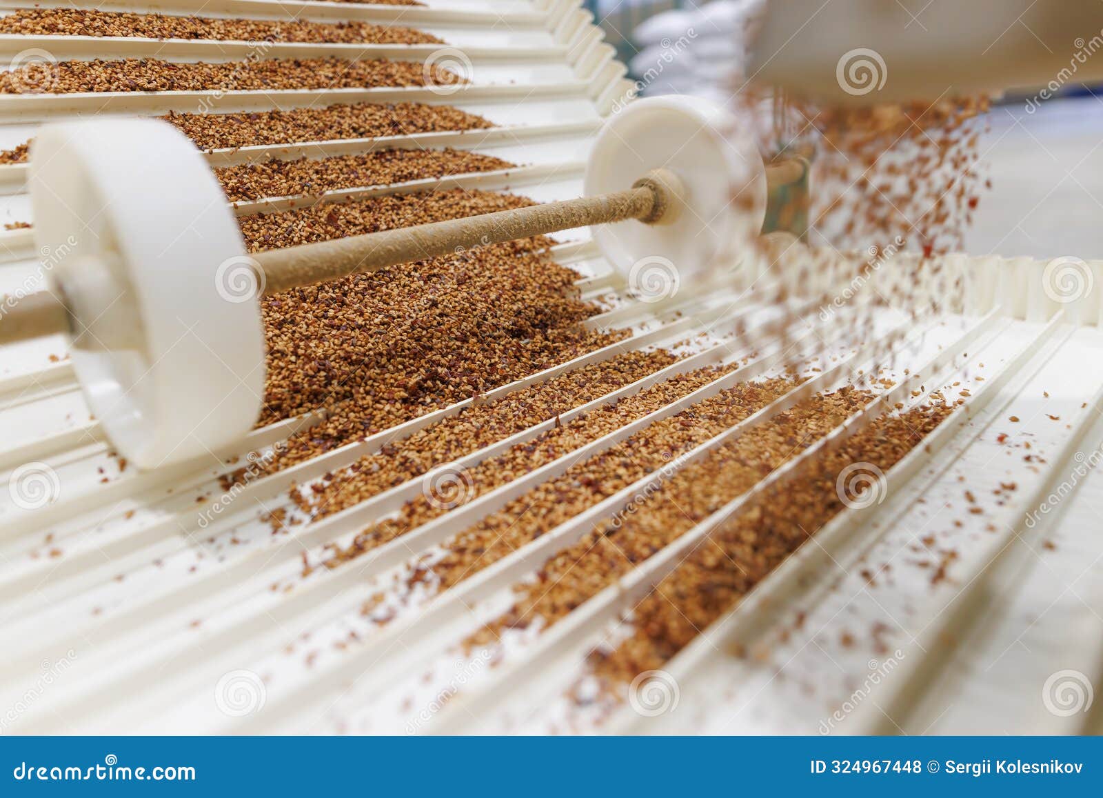 Grain Sorting Machine, Paddy Machine Sorts Grains of One Crop ...