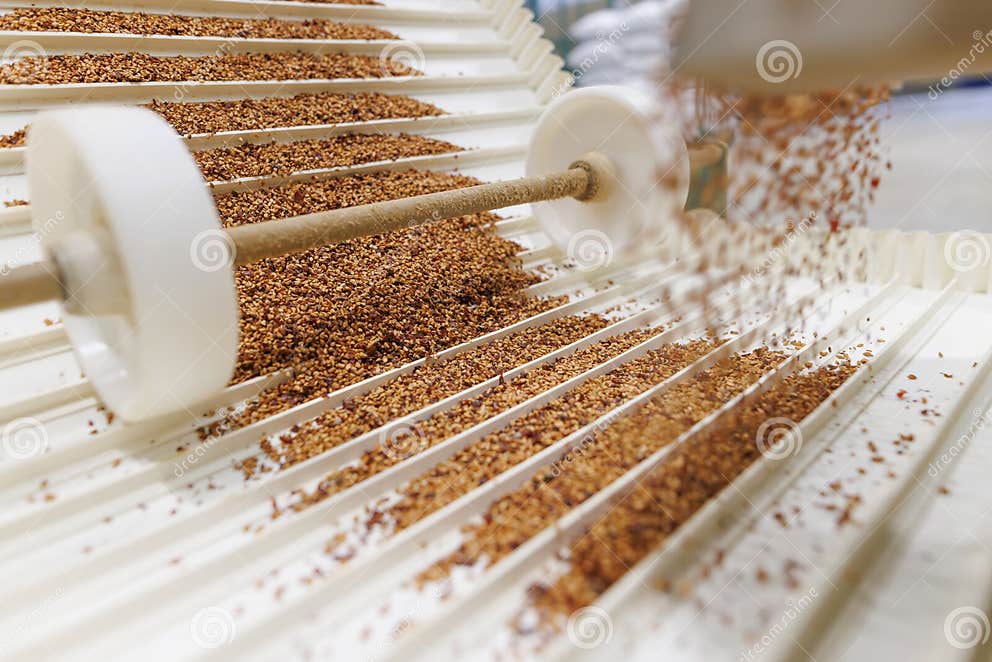 Grain Sorting Machine, Paddy Machine Sorts Grains of One Crop ...