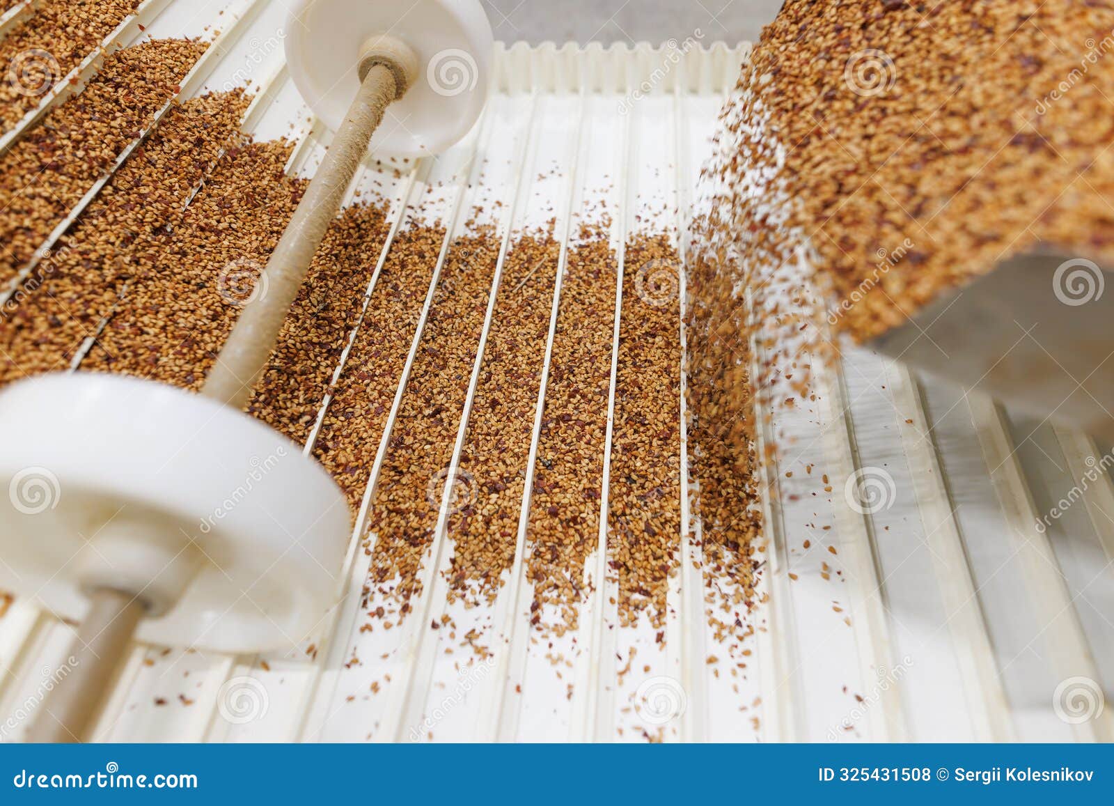 Grain Sorting Machine, Paddy Machine Sorts Grains of One Crop ...