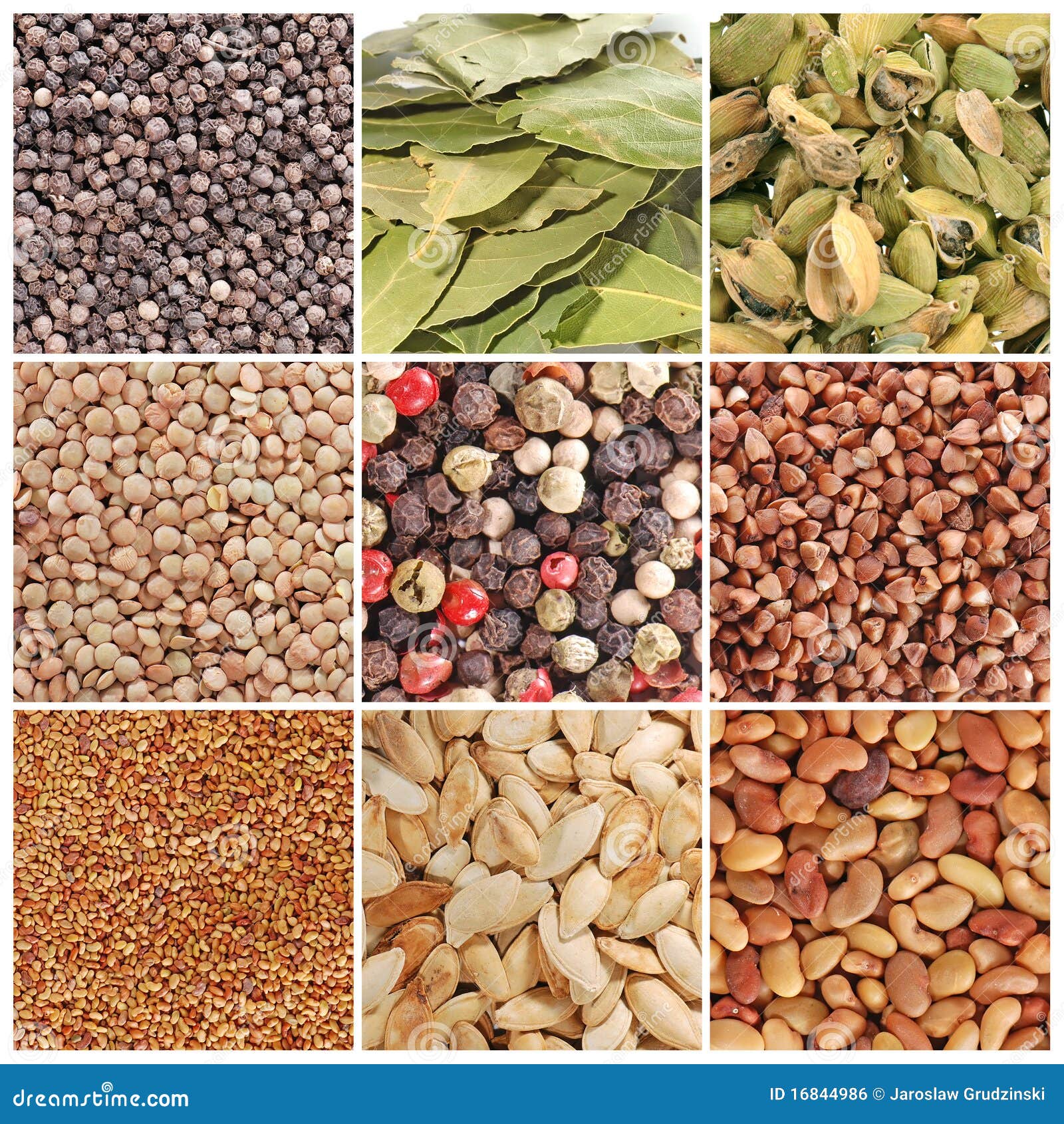 Grain and spices stock photo. Image of aromatic, condiment - 16844986