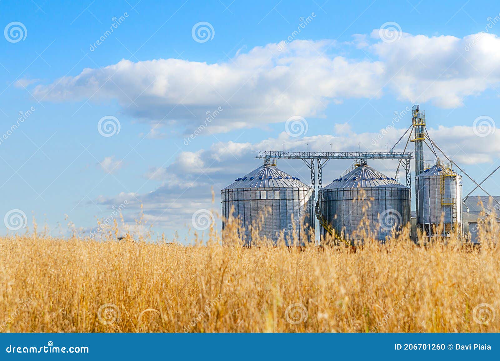 Grain Storage Silos, Blue Sky, Wheat Stock Photo - Image of grain ...