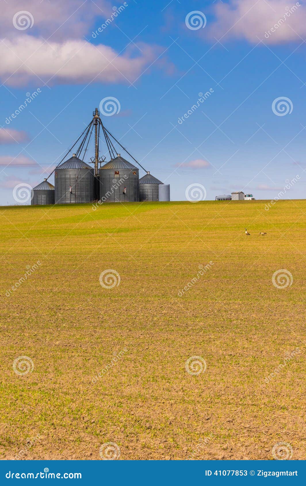 Grain Storage Silos in a Farm Field Stock Image - Image of food, grain ...