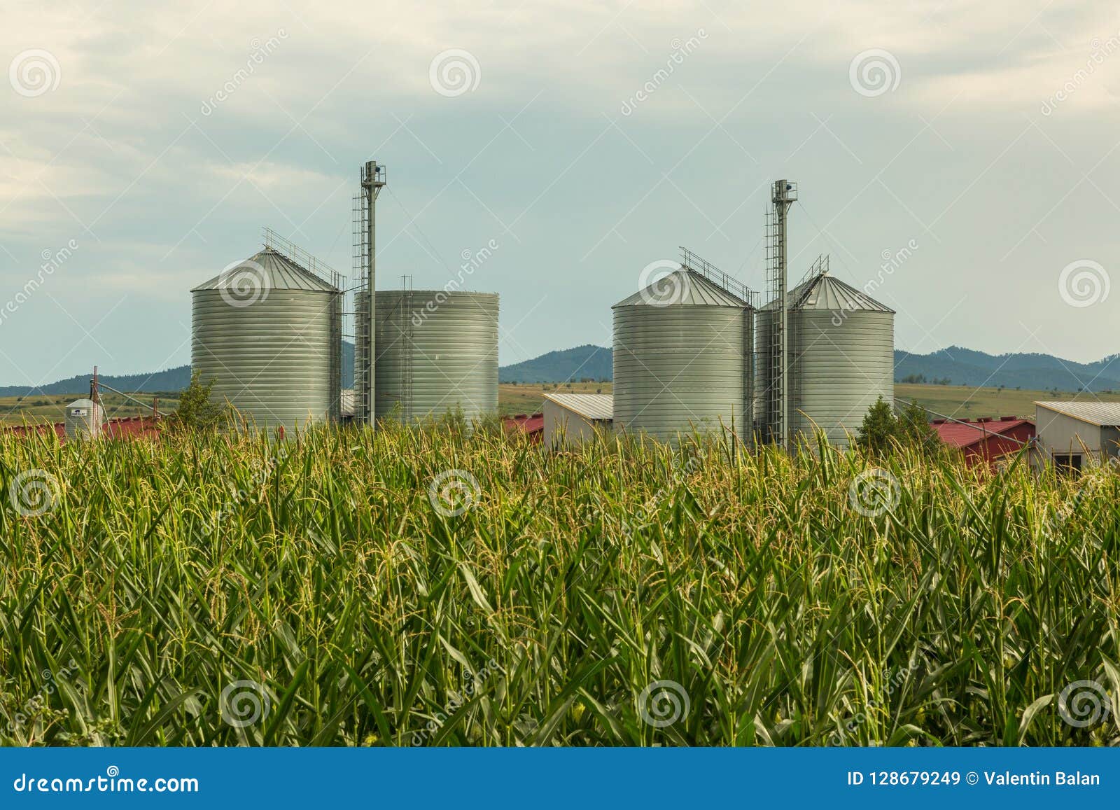 Grain Storage Tanks and Sky. Stock Image - Image of chemical, container ...