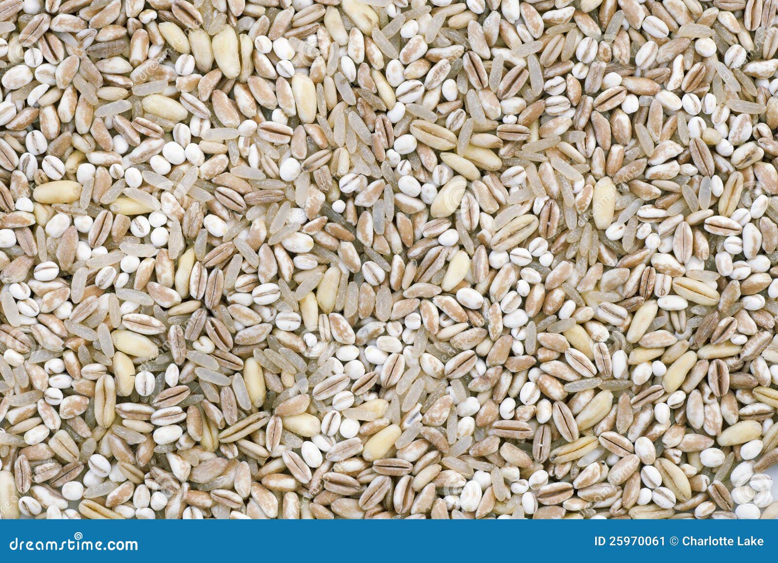 Grain Texture stock image. Image of texture, mixed, nutrition - 25970061