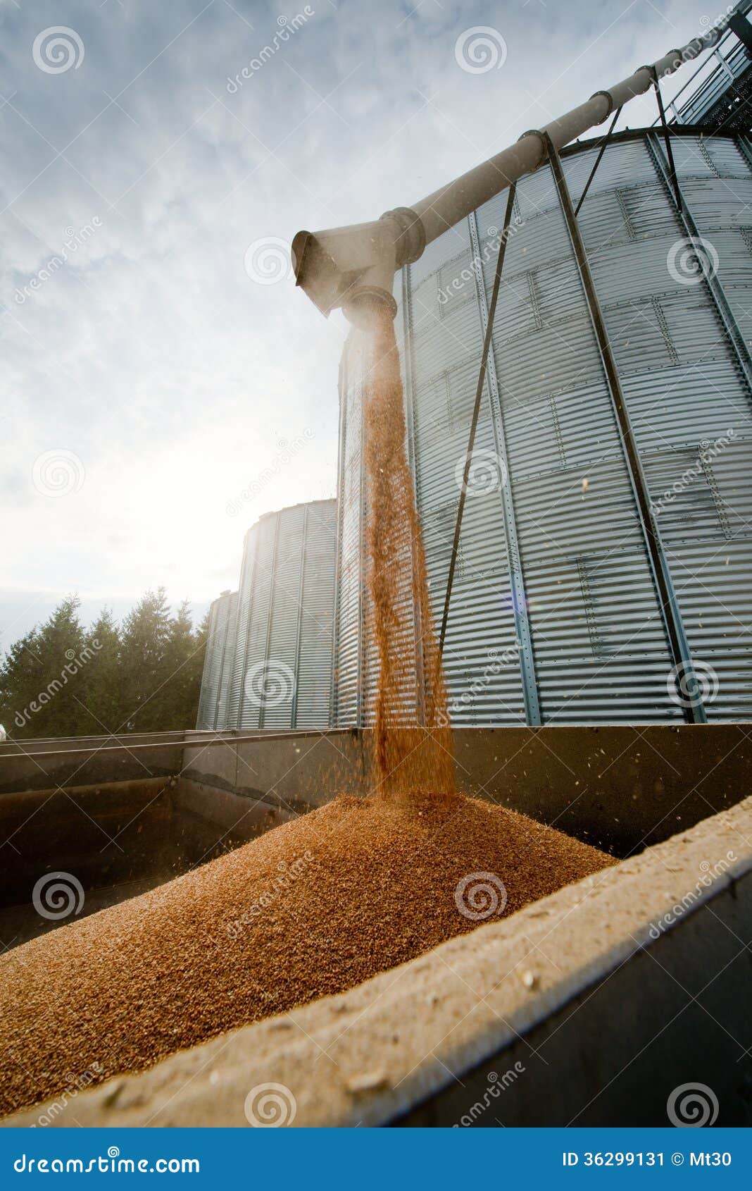 Grain & truck stock image. Image of loading, plant - 36299131