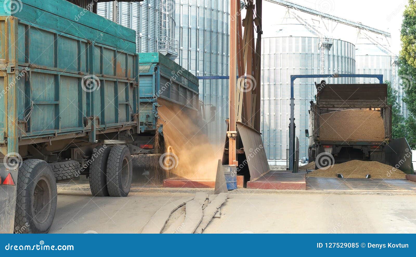 Grain Trucks Dumping Grain. Stock Image - Image of dust, crop: 127529085